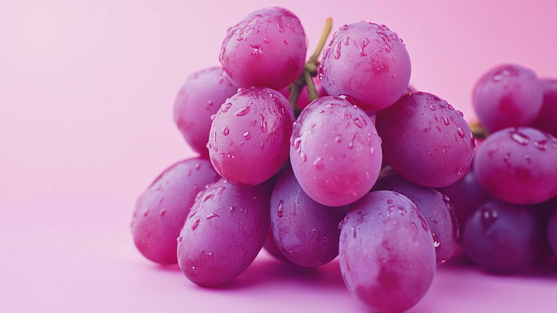 UK Amends Approval Restrictions For Pesticide Ingredient Fenpyrazamine ...